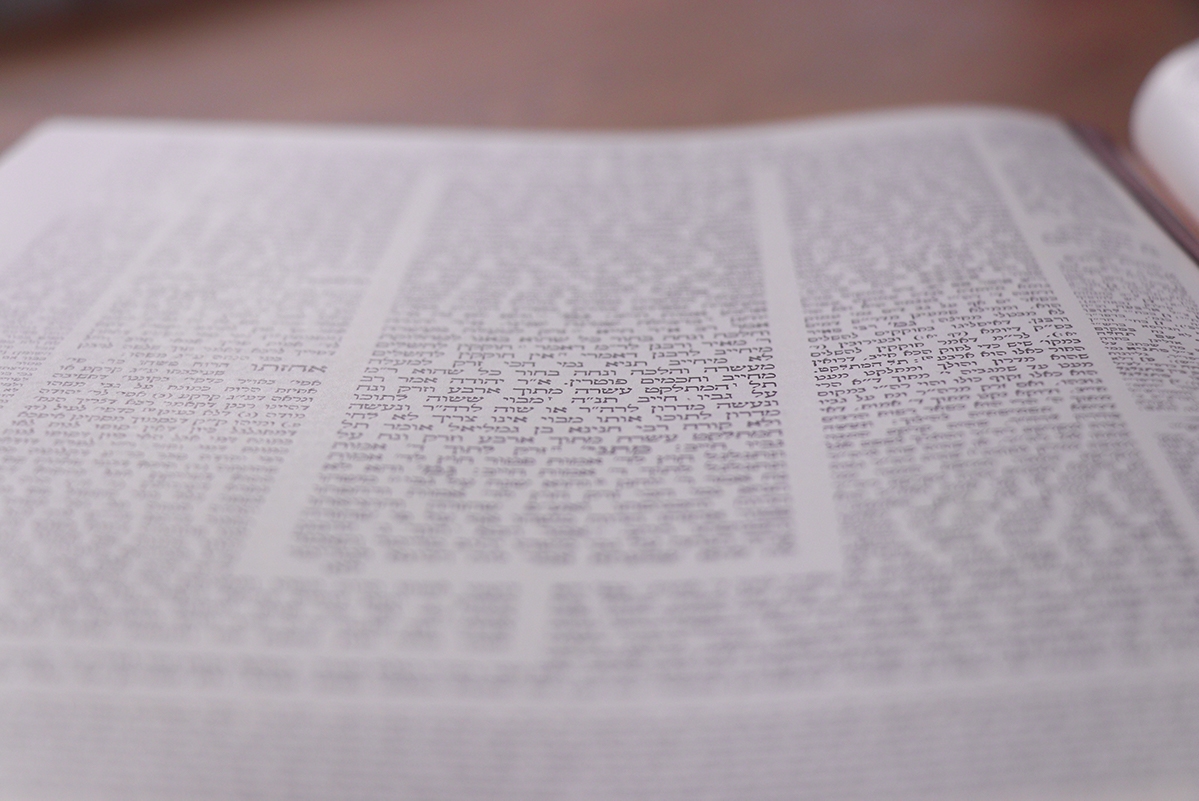 The TeX typesetting system | Yiddishe Kop